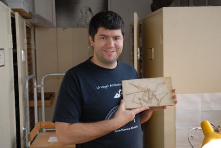 Research profile | David Hone